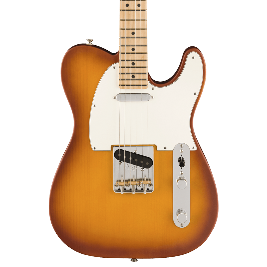 GUITARRA ELECTRICA FENDER 0171042742 AM PERFORMER TELE TMBR MN HNYB | JP Musical